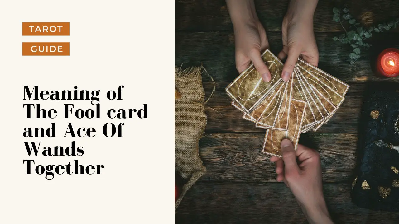Drawing The Fool Card And Ace Of Wands Tarot Cards Together | What Do ...